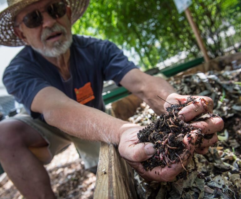 How to Build a Worm Farm for Fishing: The Ultimate Step-by-Step Guide ...