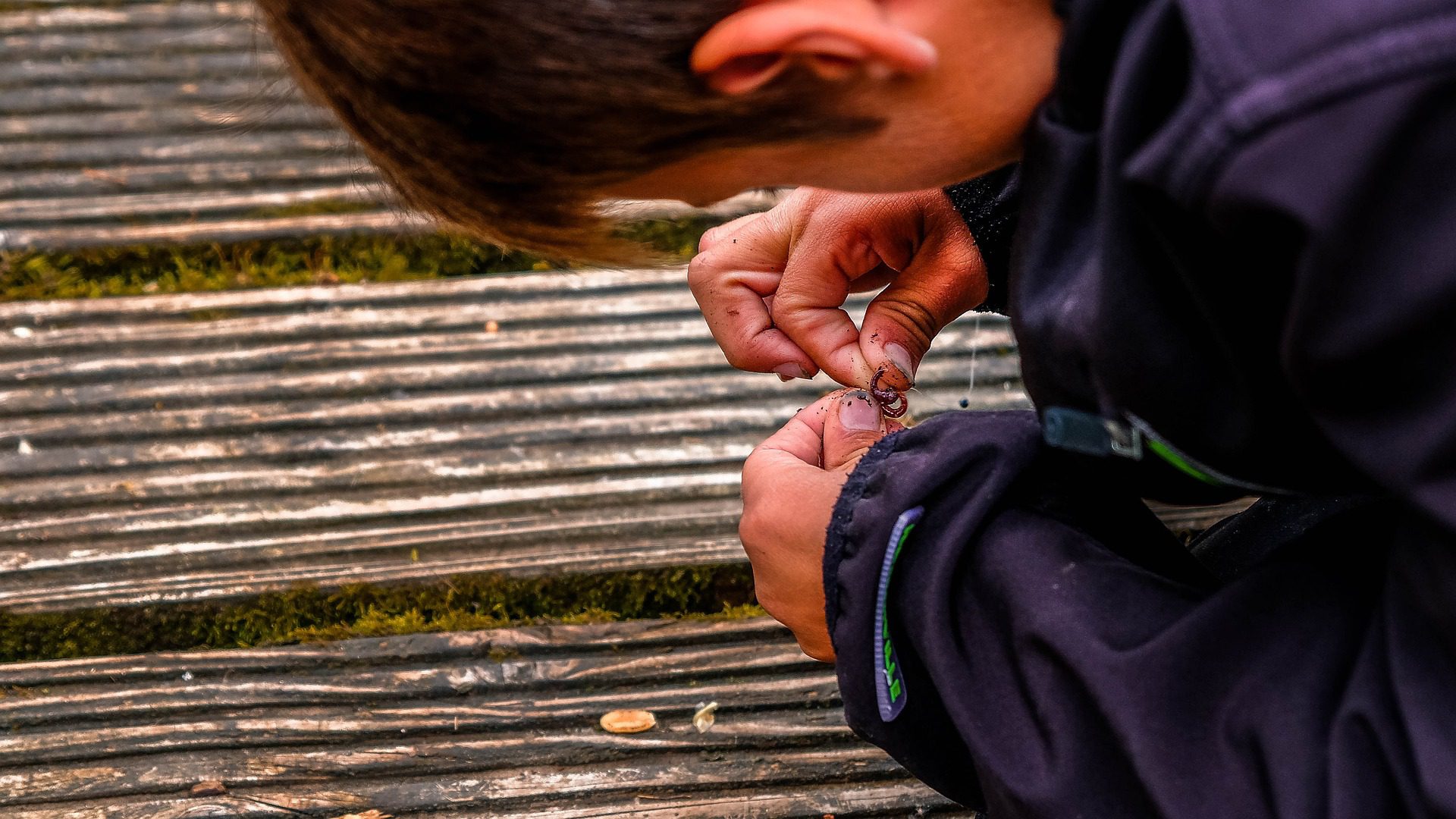 How to Raise Red Worms - Worm Farm Blog