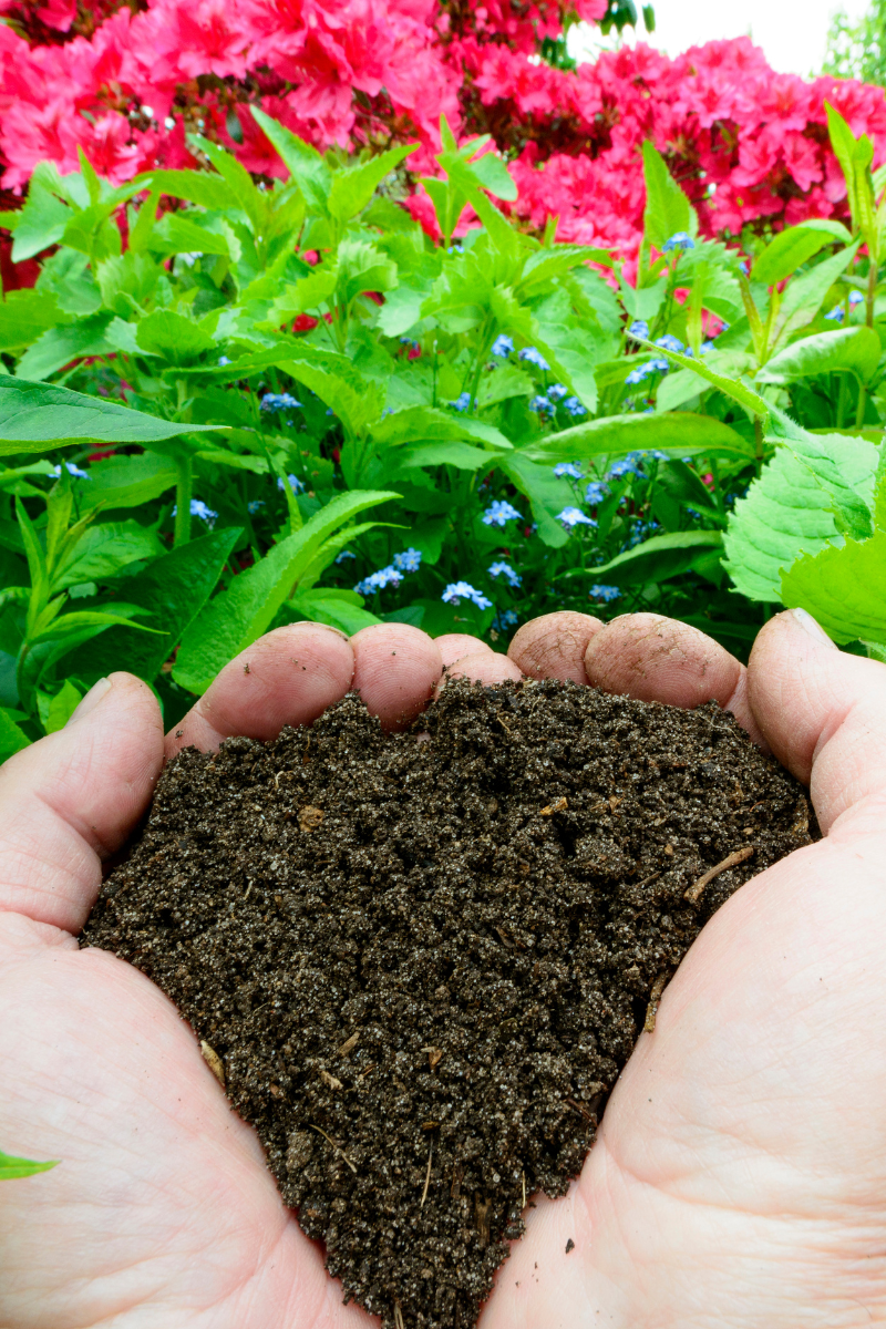 Large Scale Vermicomposting